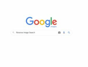 5 Strange Facts About Reverse Image Search - LoveUMarketing